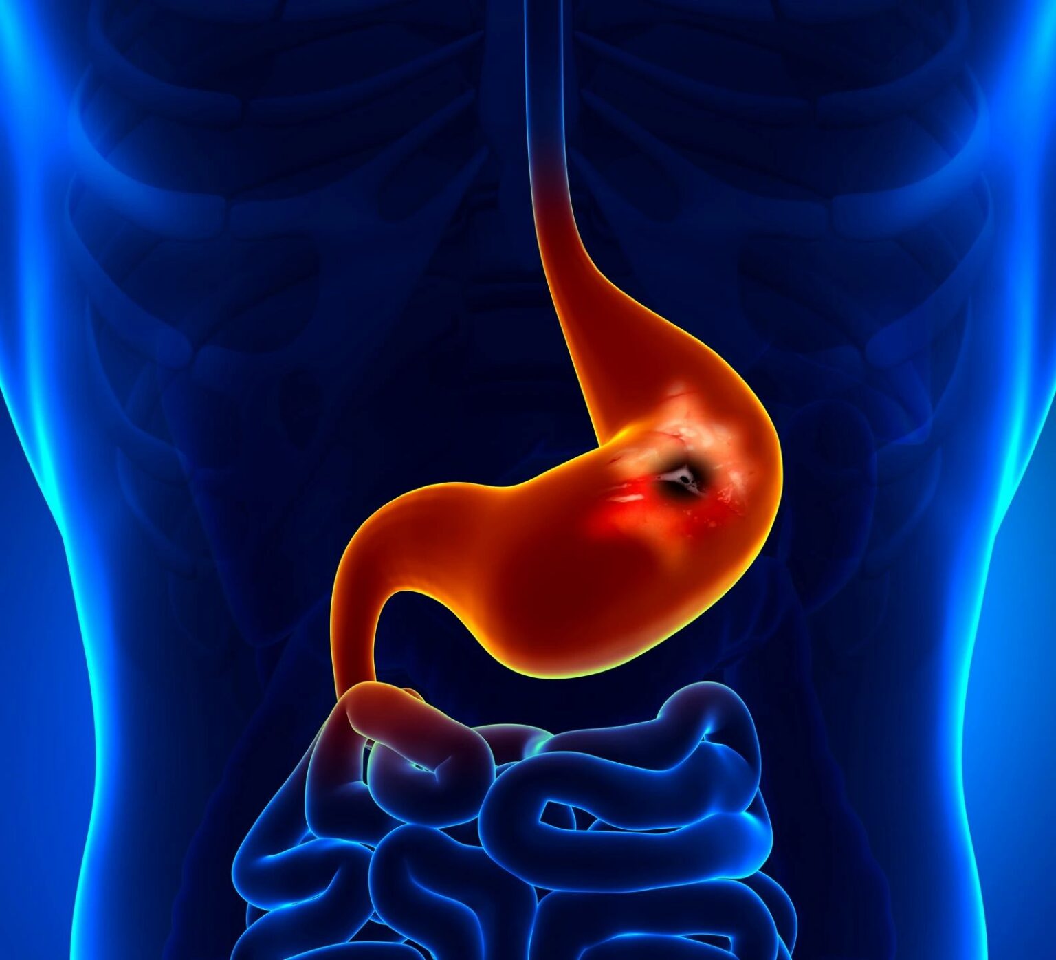 Services - Saddleback Medical Group